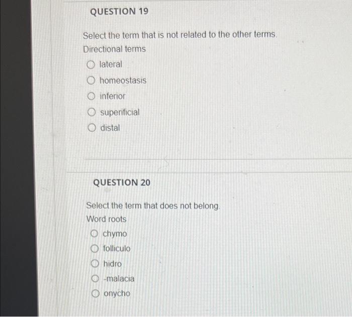 Solved Select the term that is not related to the other | Chegg.com