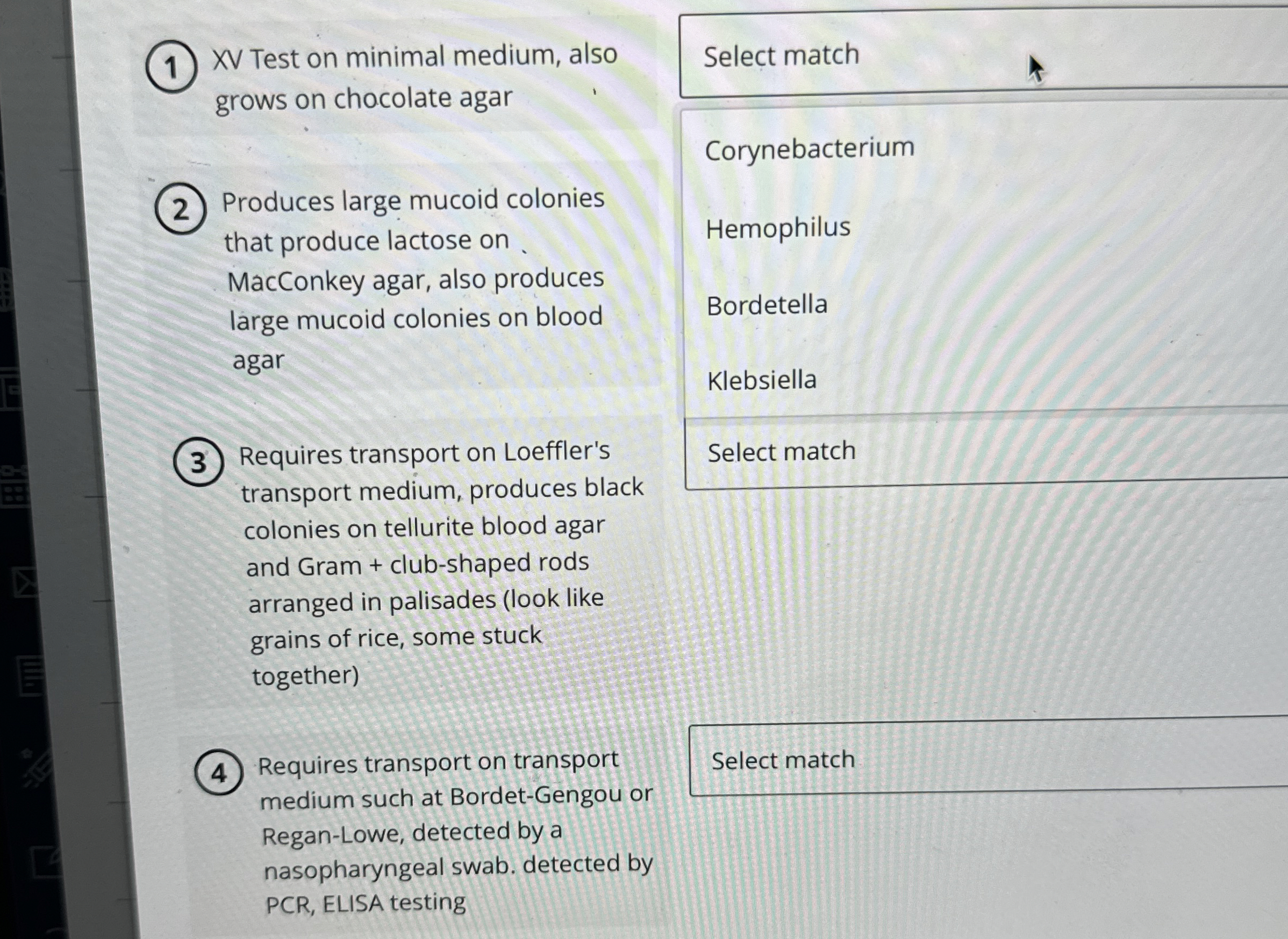 Solved (1) ﻿XV Test on minimal medium, also grows on | Chegg.com