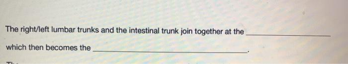 Solved The right/left lumbar trunks and the intestinal trunk | Chegg.com