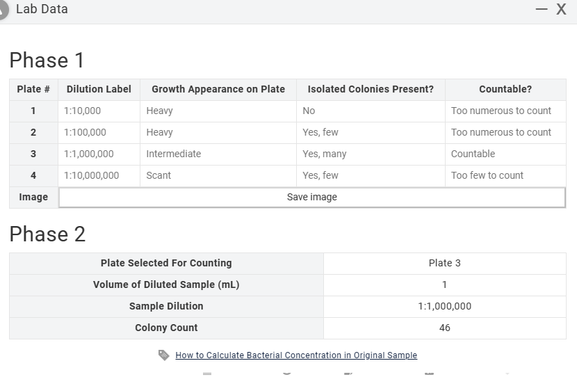Solved Lab DataPhase 1\table[[Plate #,Dilution Label,Growth | Chegg.com