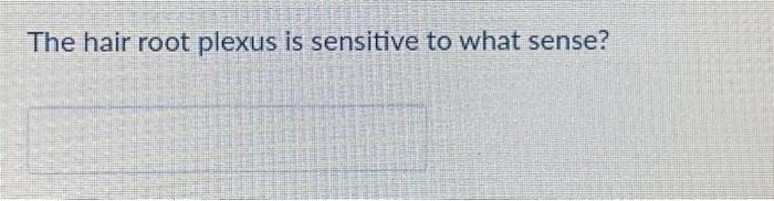 Solved The hair root plexus is sensitive to what sense? | Chegg.com
