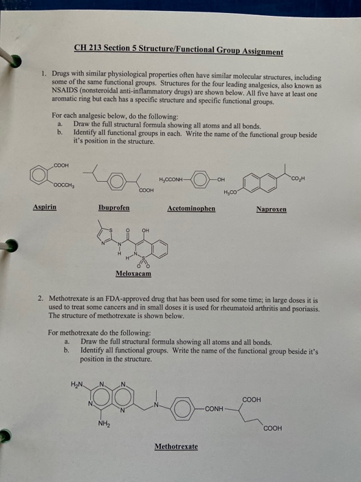 Solved CH 213 Section 5 Structure/Functional Group | Chegg.com