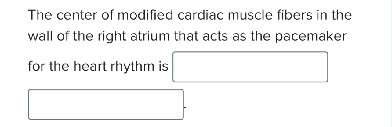 Solved The center of modified cardiac muscle fibers in the | Chegg.com