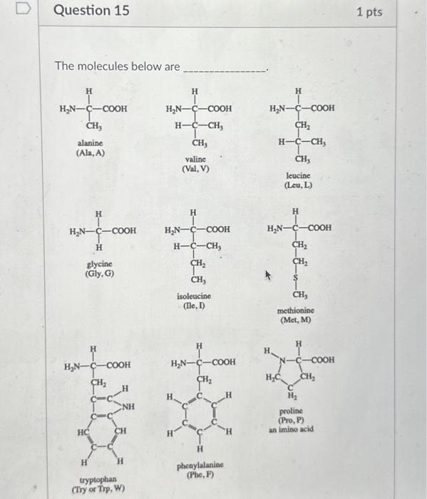 Solved The molecules below are alanine (Ala,A) valine (Val, | Chegg.com