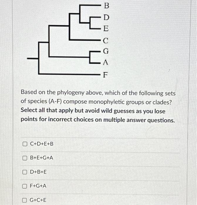 Solved Based on the phylogeny above, which of the following | Chegg.com