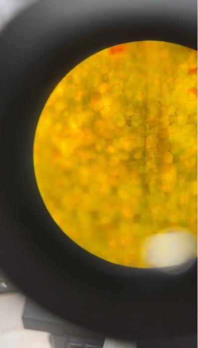 Solved answer figure 2. refer to the second picture for the | Chegg.com