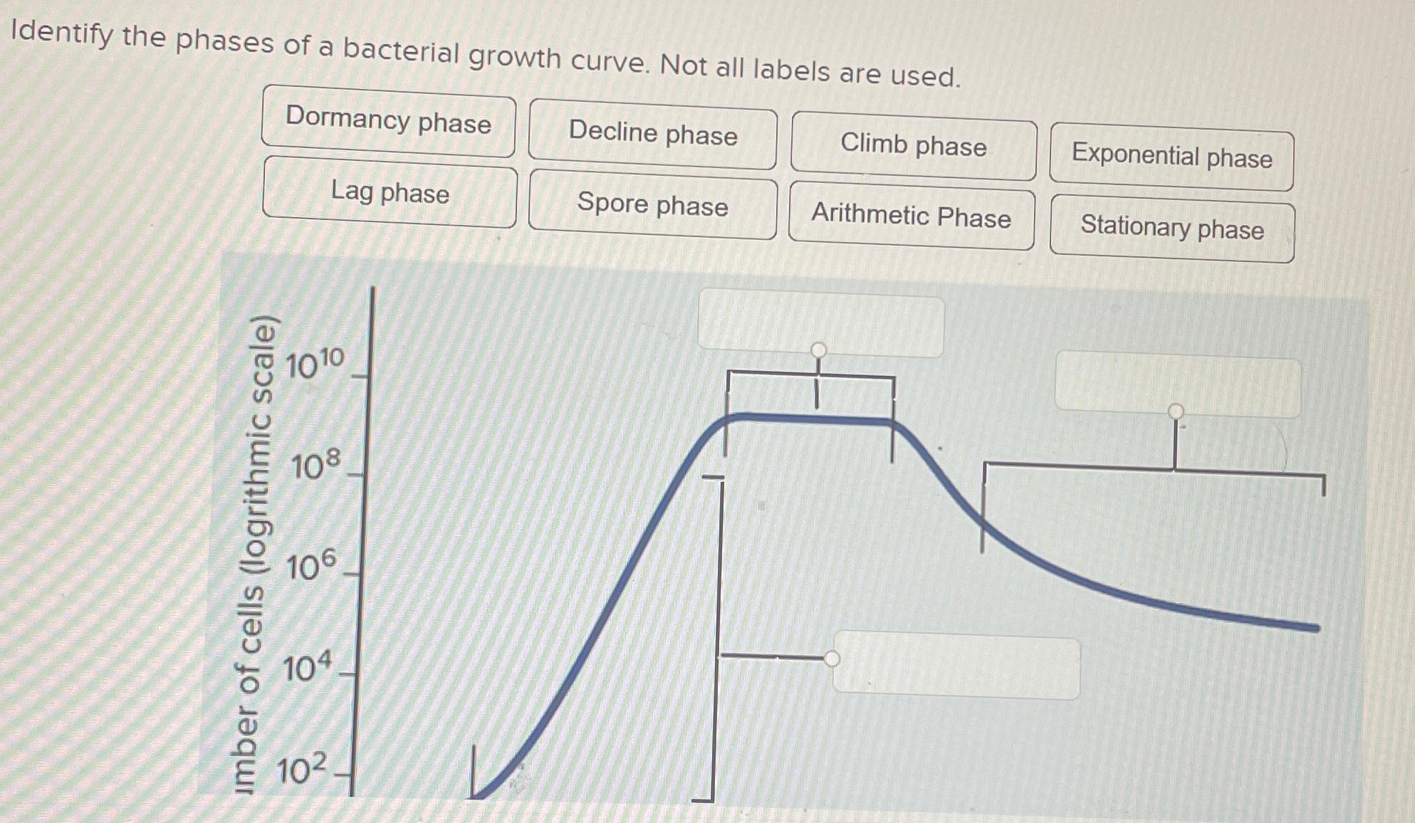 Solved Identify the phases of a bacterial growth curve. Not | Chegg.com