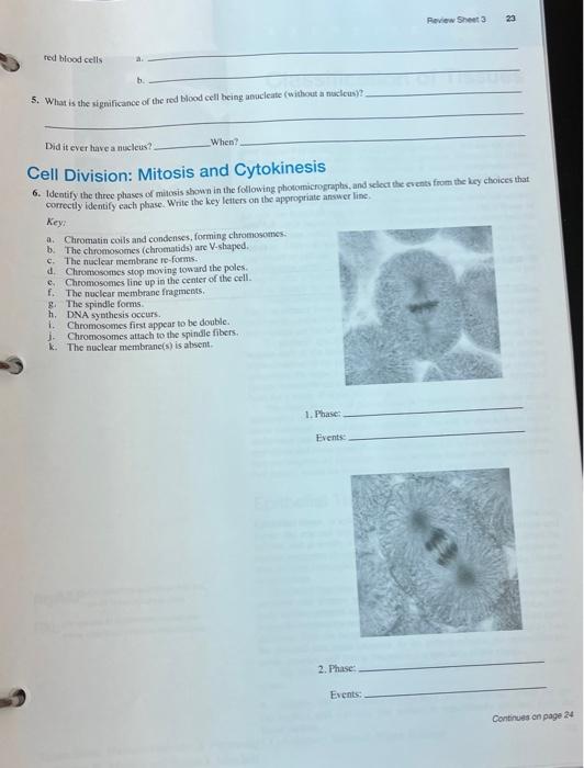 Solved Observing Differences and Similarities in Cell | Chegg.com