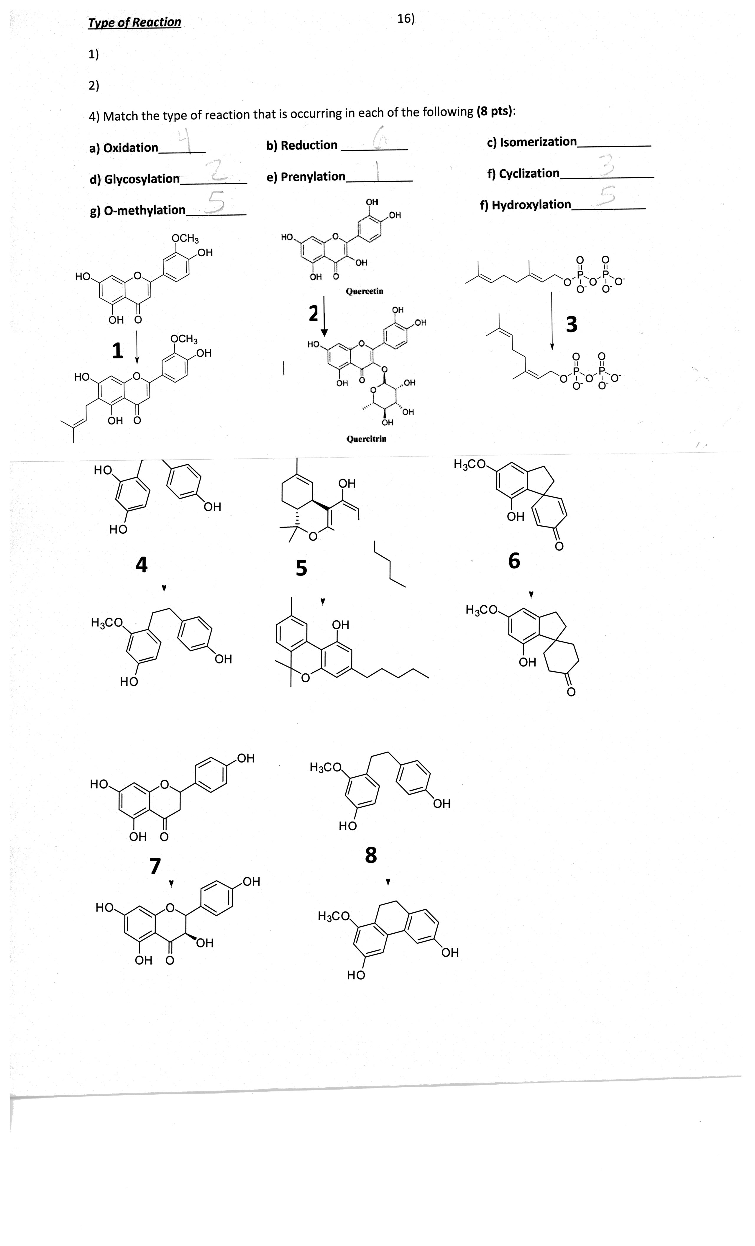 Solved Match listed reactions a-f to diagramsType of | Chegg.com