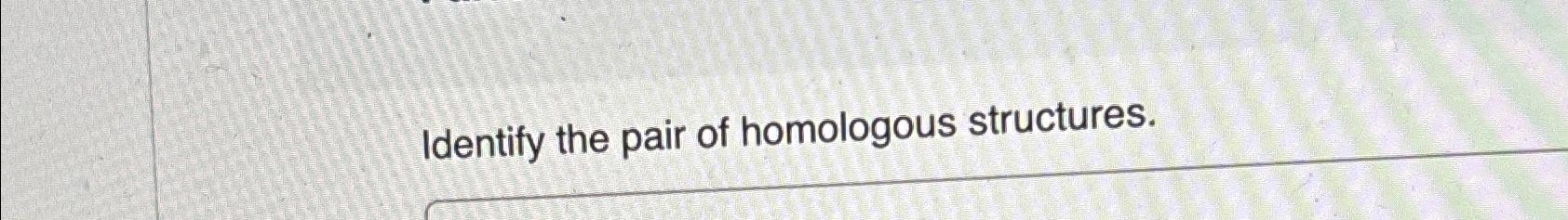 Solved Identify the pair of homologous structures. | Chegg.com