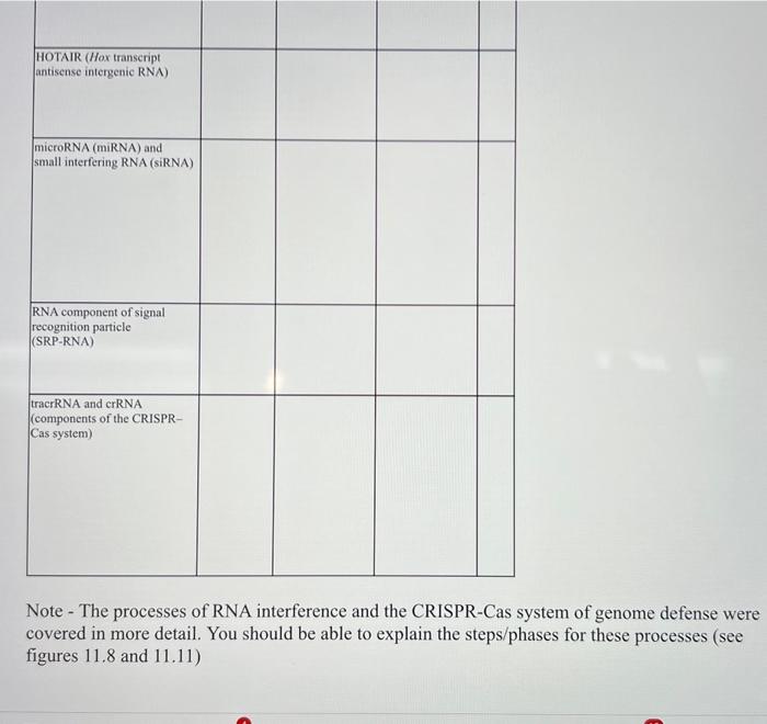 Solved Some genes are transcribed into non-coding RNAs | Chegg.com