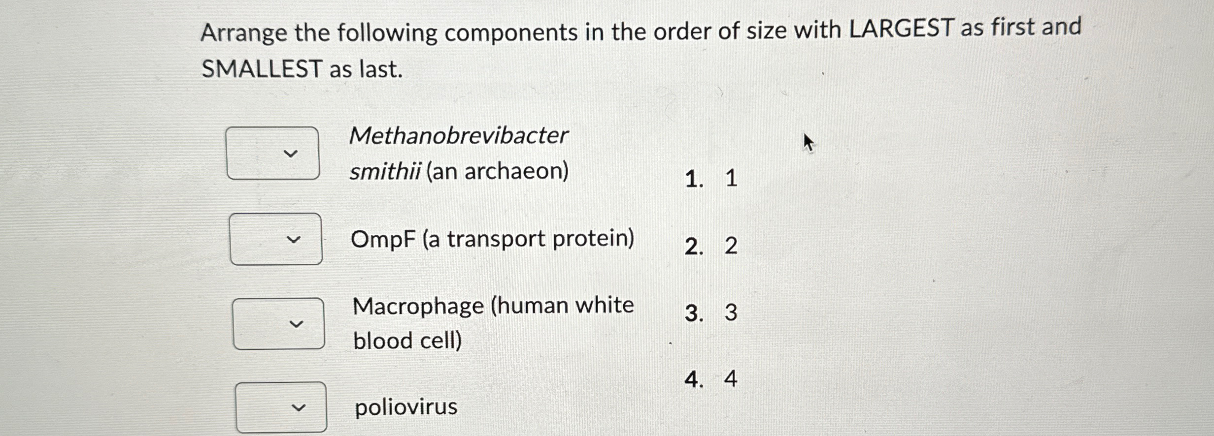 Solved Arrange the following components in the order of size | Chegg.com