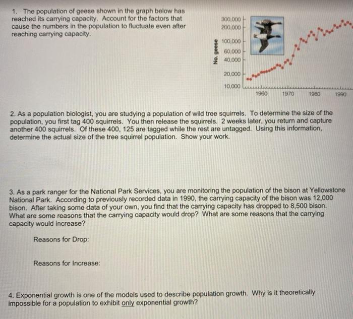 Solved 1. The population of geese shown in the graph below | Chegg.com