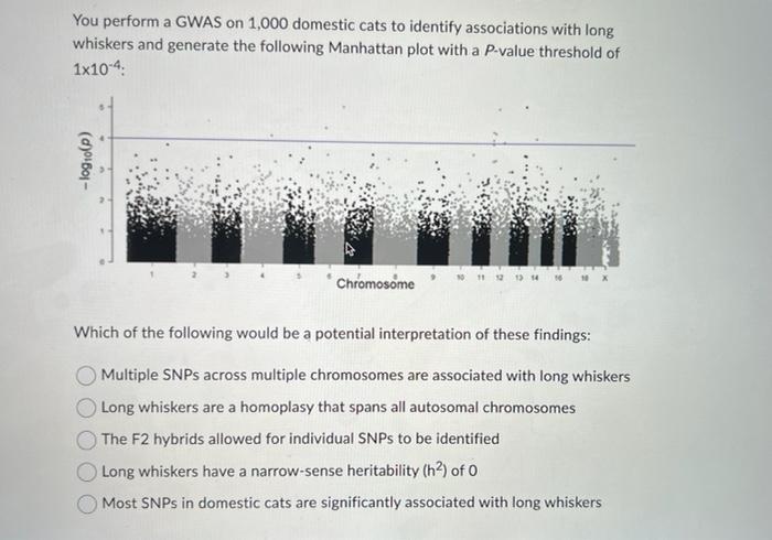 Solved You perform a GWAS on 1,000 domestic cats to identify | Chegg.com
