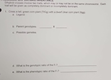 Solved Dihybrid crosses involve two iraits, which may or may | Chegg.com