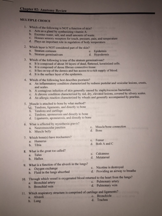 Solved Chapter 02: Anatomy Review MULTIPLE CHOICE 1. Which | Chegg.com Solved Chapter 02: Anatomy Review MULTIPLE CHOICE 1. Which | Chegg.com