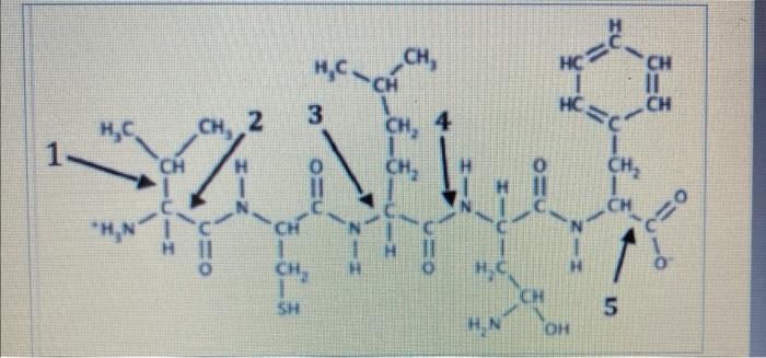 Solved Which of the following covalent bonds represents a | Chegg.com
