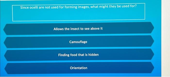 Solved Since ocelli are not used for forming images, what | Chegg.com