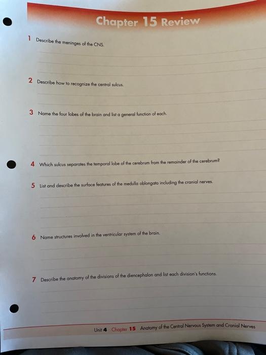 Solved Chapter 15 Review 1 Describe the meninges of the CNS. | Chegg.com