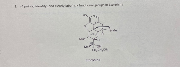Solved 1. (4 points) Identify (and clearly label) six | Chegg.com
