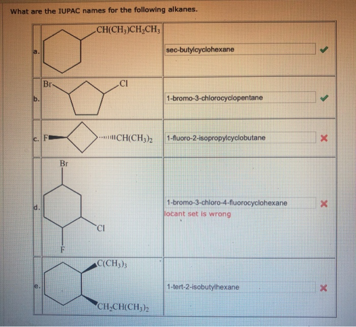 Solved What are the IUPAC names for the following alkanes. | Chegg.com