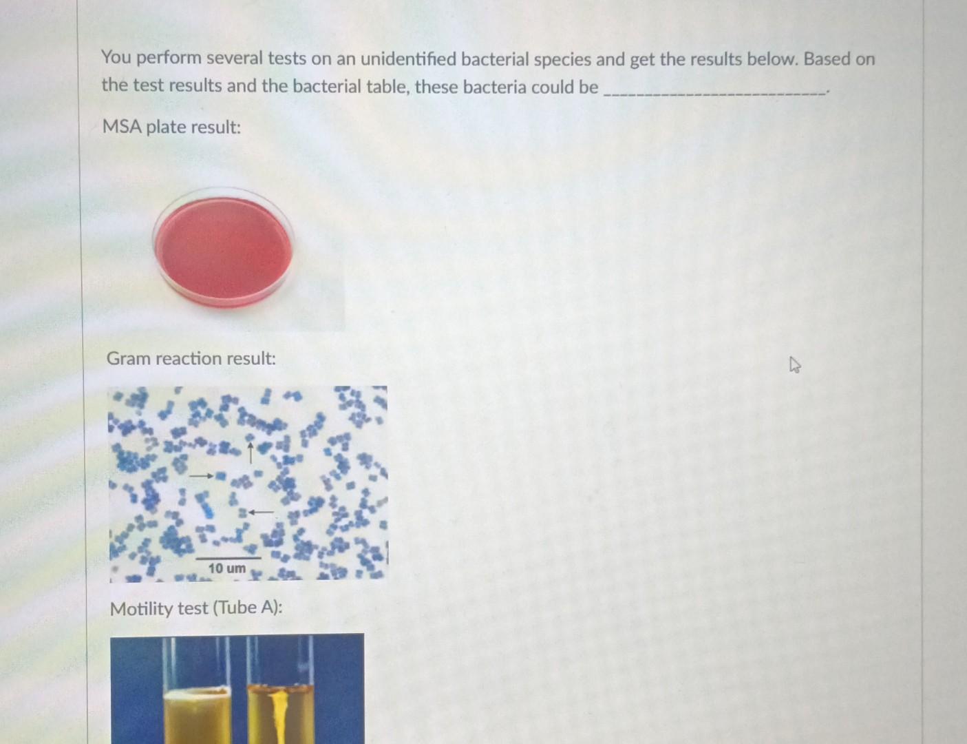 Solved You perform several tests on an unidentified | Chegg.com
