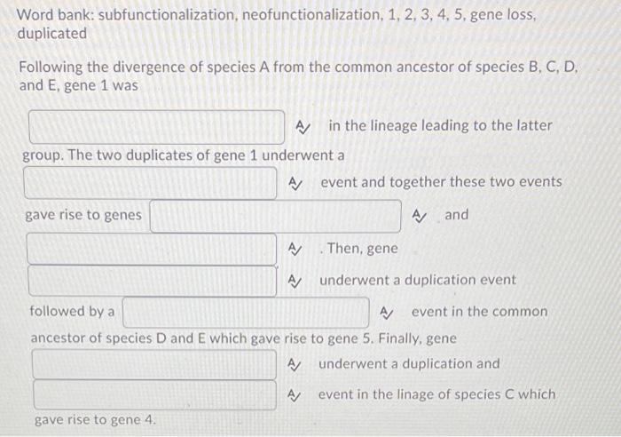 Solved Word bank: subfunctionalization, | Chegg.com