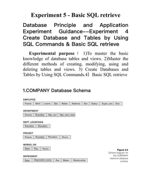 Solved Experiment 5 - Basic SQL retrieve Database Principle | Chegg.com