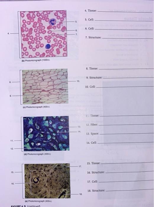 Solved 2. Complete the labeling activity in FIGURE 4.9 by | Chegg.com
