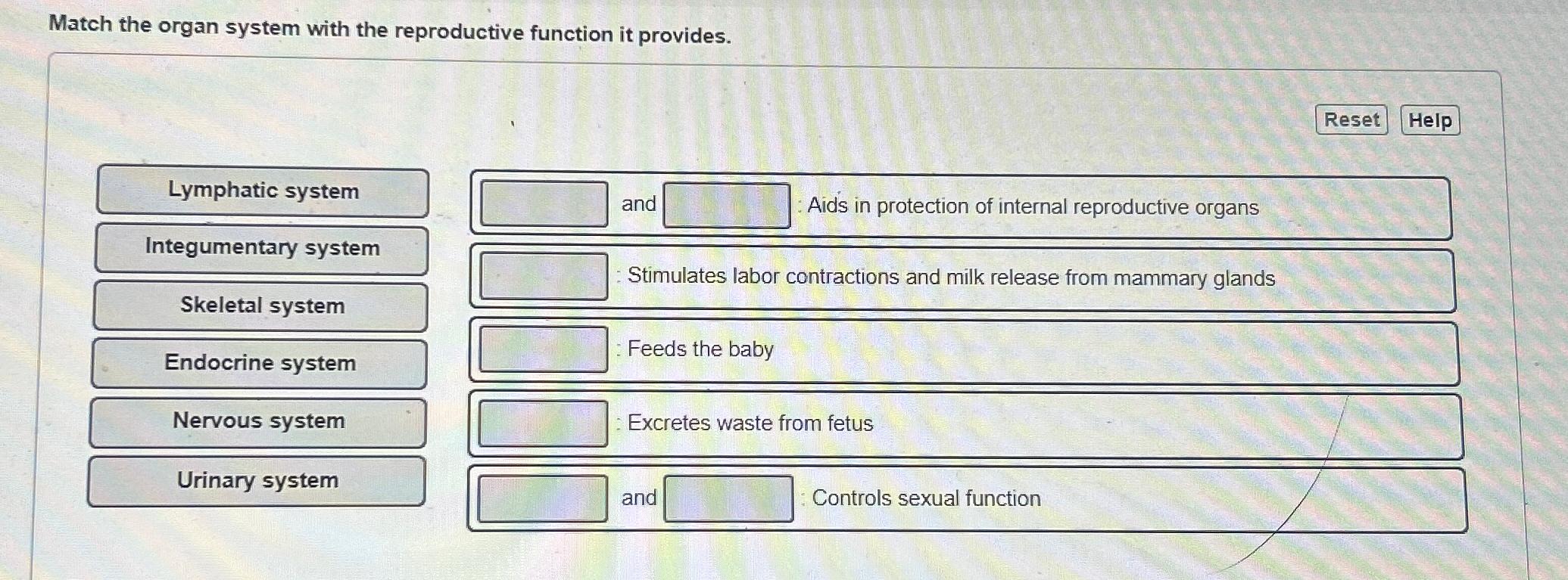 Solved Match the organ system with the reproductive function | Chegg.com