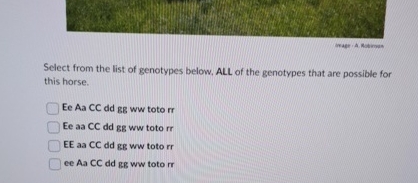 Solved Select from the list of genotypes below. ALL of the | Chegg.com