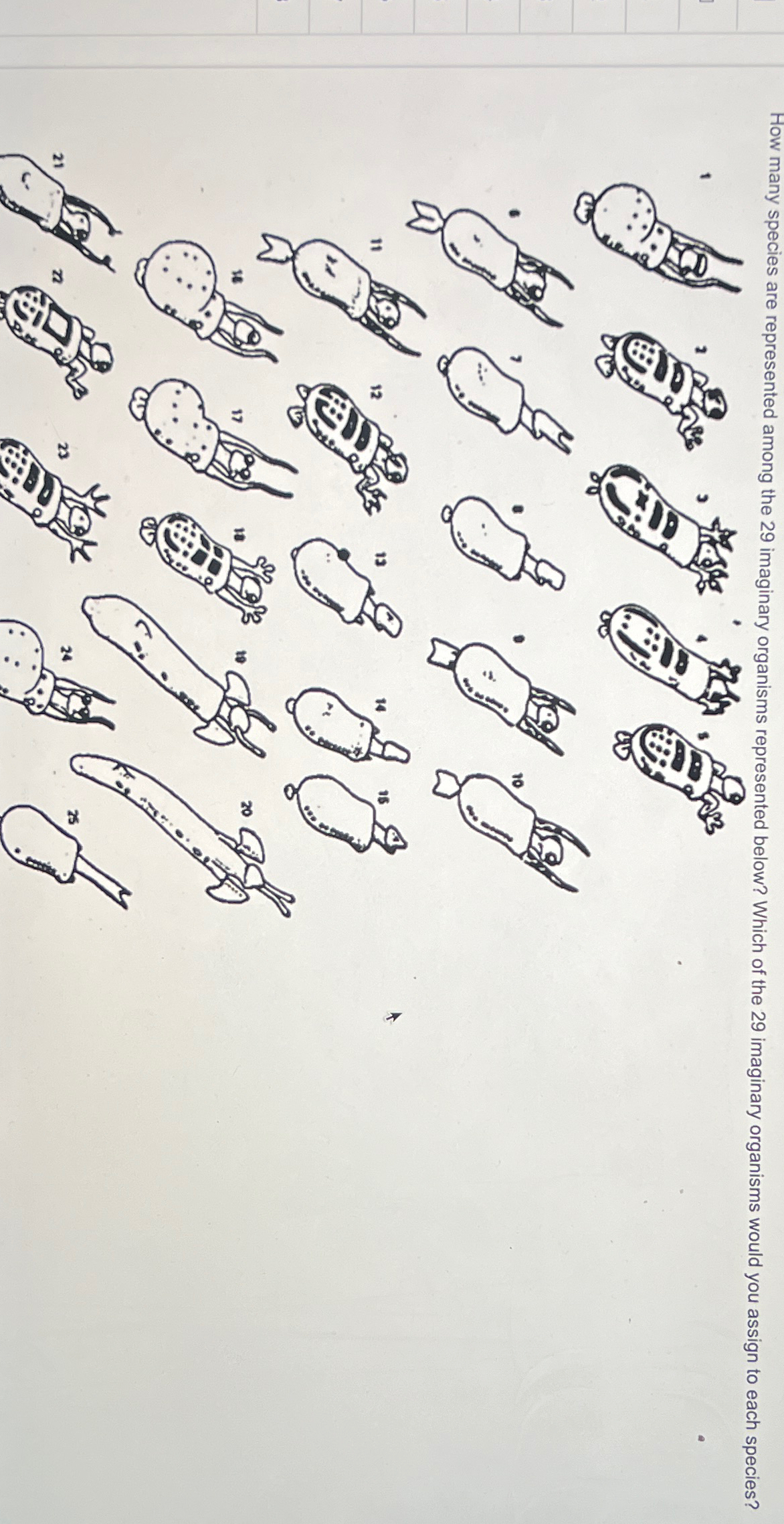 Solved How many species are represented among the 29 | Chegg.com