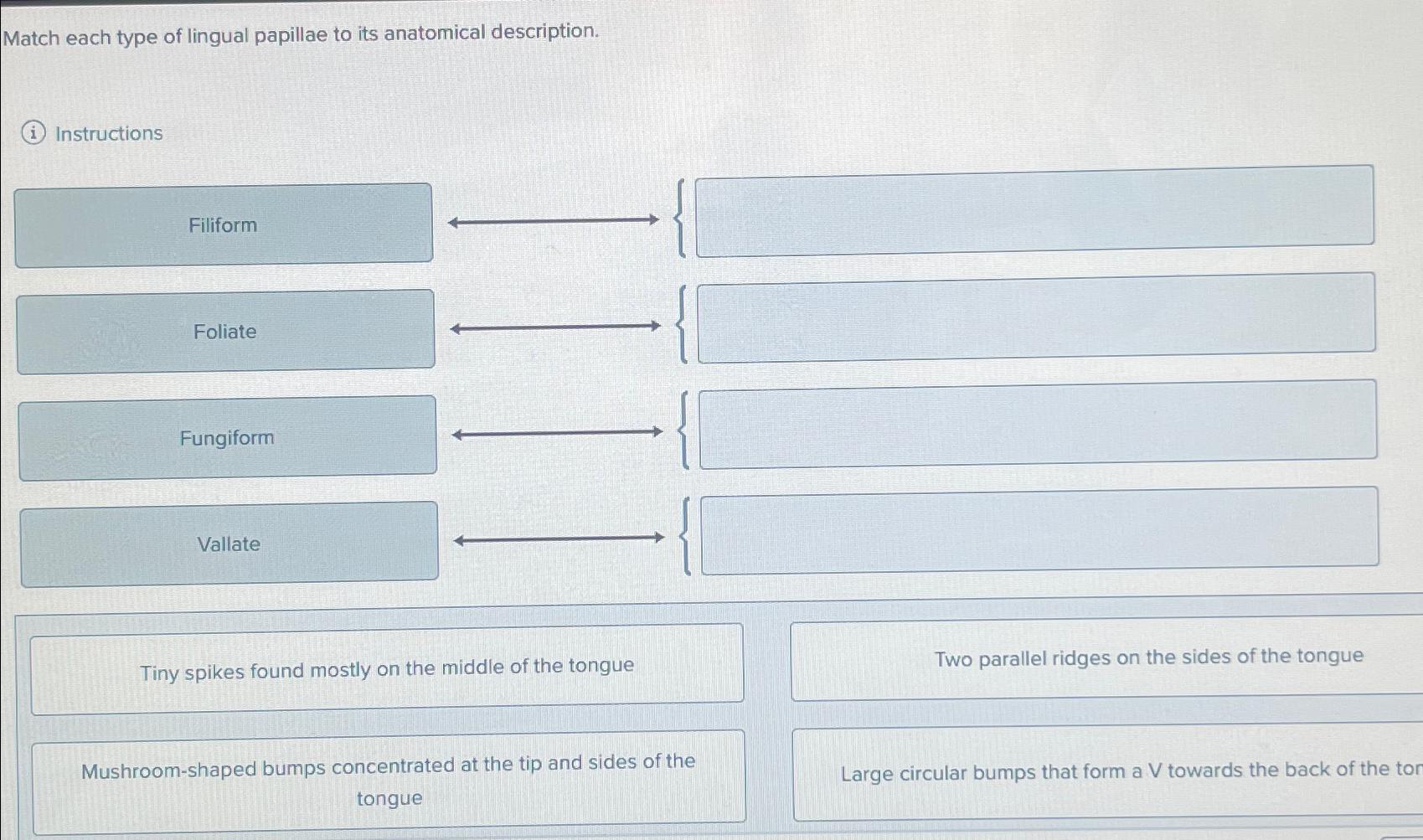 Solved Match each type of lingual papillae to its anatomical | Chegg.com