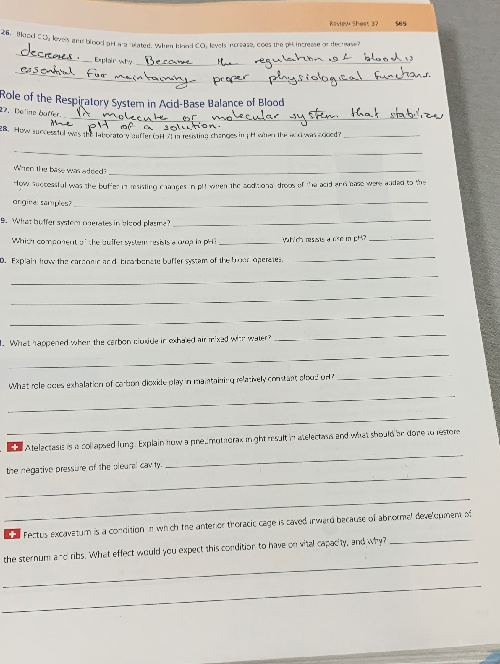 Solved Review Sheet 3756526. ﻿Blood CO2 ﻿levels and blood pH | Chegg.com
