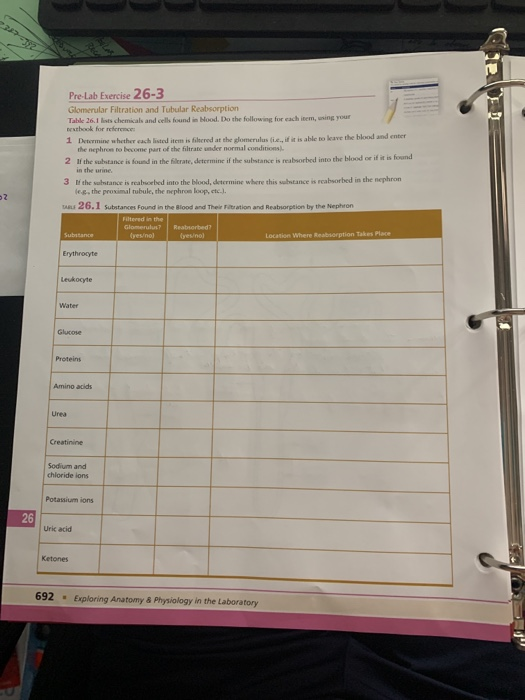 Solved Name Section Date Pre-Lab Exercise 26-2 Nephron | Chegg.com