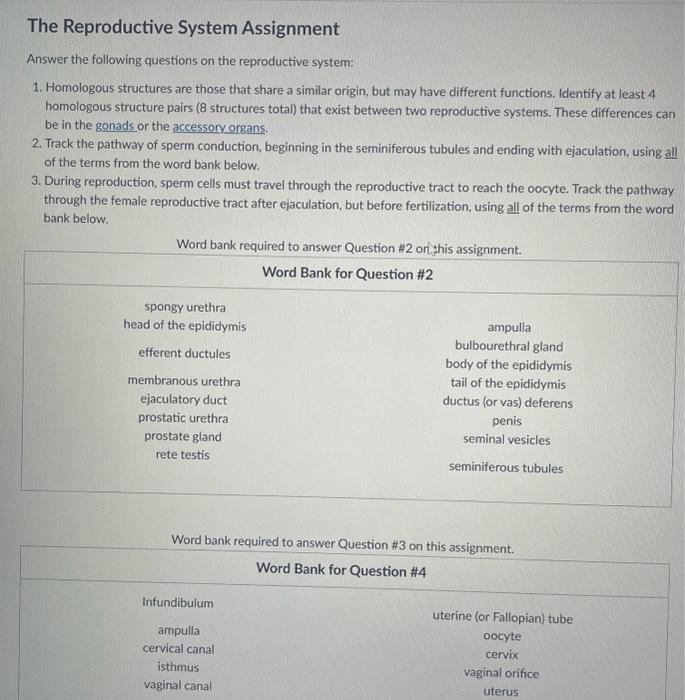 Solved The Reproductive System Assignment Answer the | Chegg.com