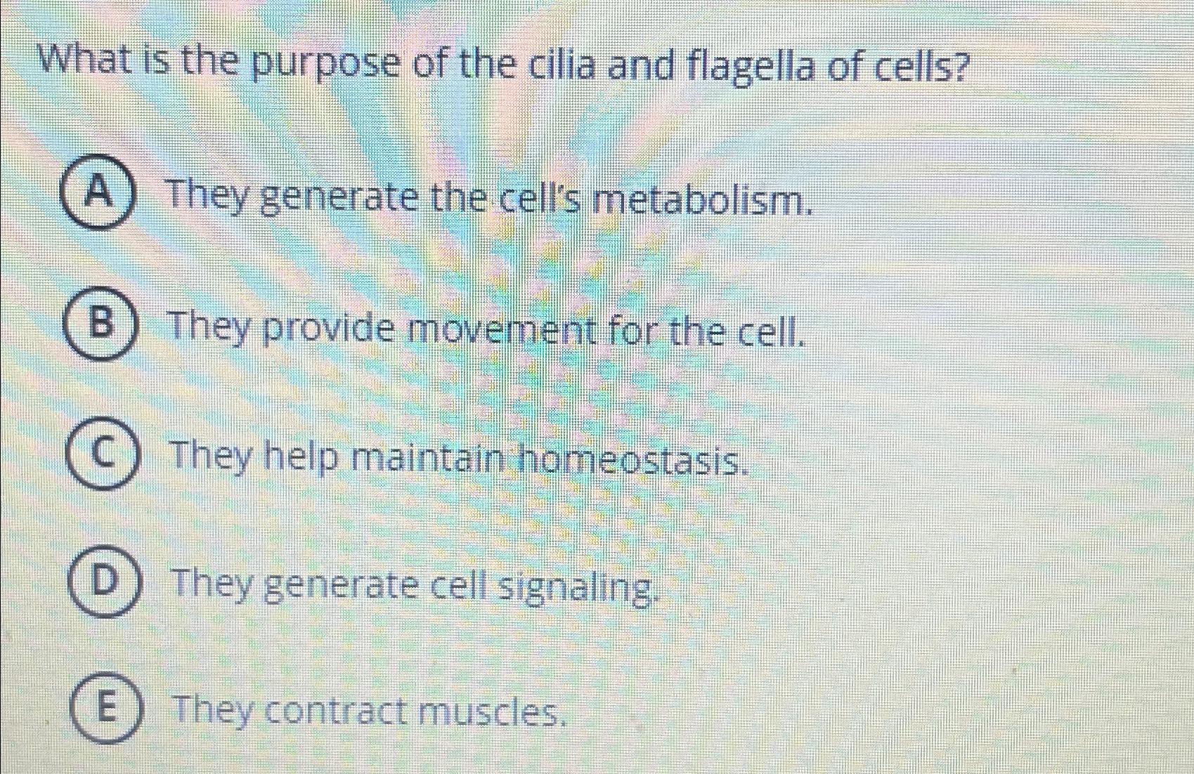 Solved What is the purpose of the cilia and flagella of | Chegg.com