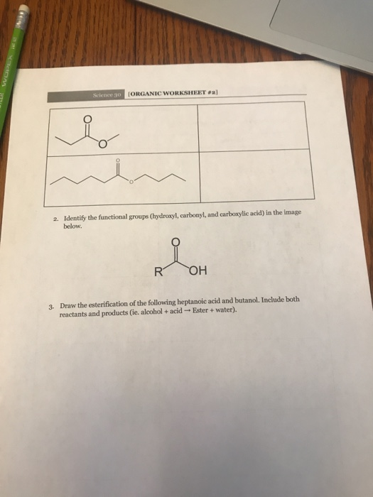 Solved Science 30 ORGANIC WORKSHEET 2. Identify the | Chegg.com
