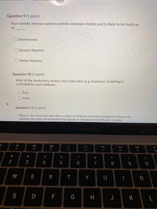 Solved Question 9 (1 point) Your somatic nervous system | Chegg.com