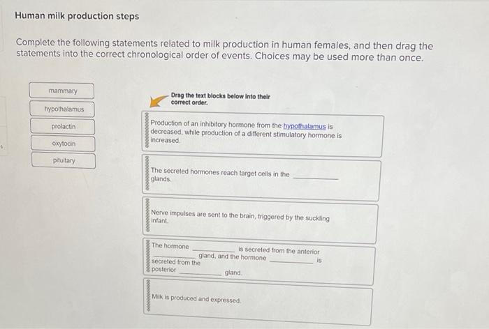 Solved Human milk production steps Complete the following | Chegg.com