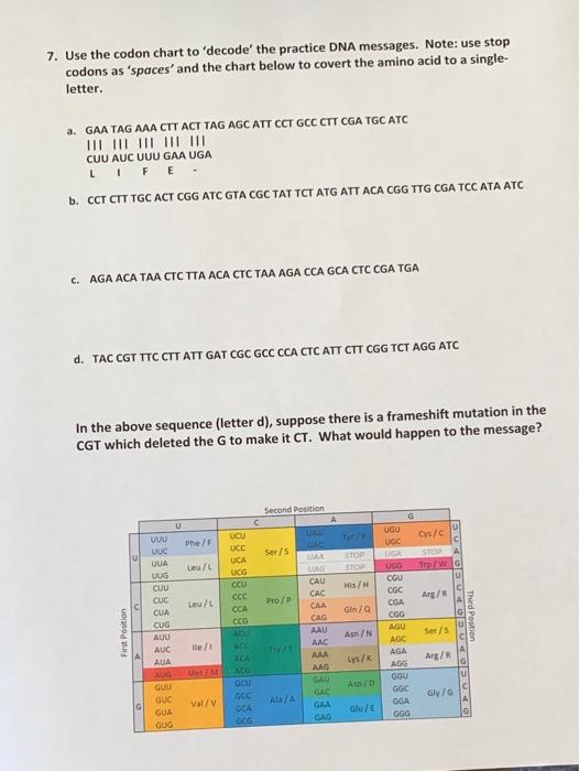 Solved 7. Use the codon chart to 'decode' the practice DNA | Chegg.com