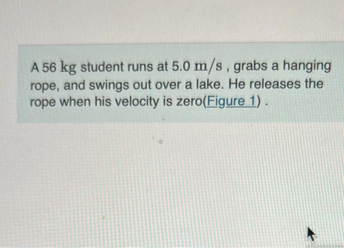 Solved A 56 kg student runs at 5.0 m/s, grabs a hanging | Chegg.com