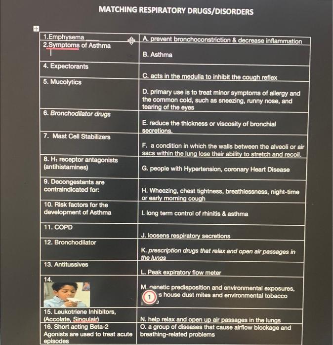Solved MATCHING RESPIRATORY DRUGS/DISORDERS | Chegg.com