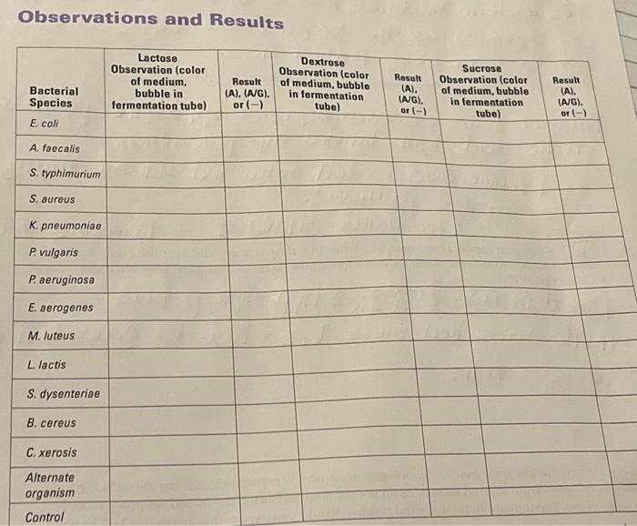 Observations and Results | Chegg.com