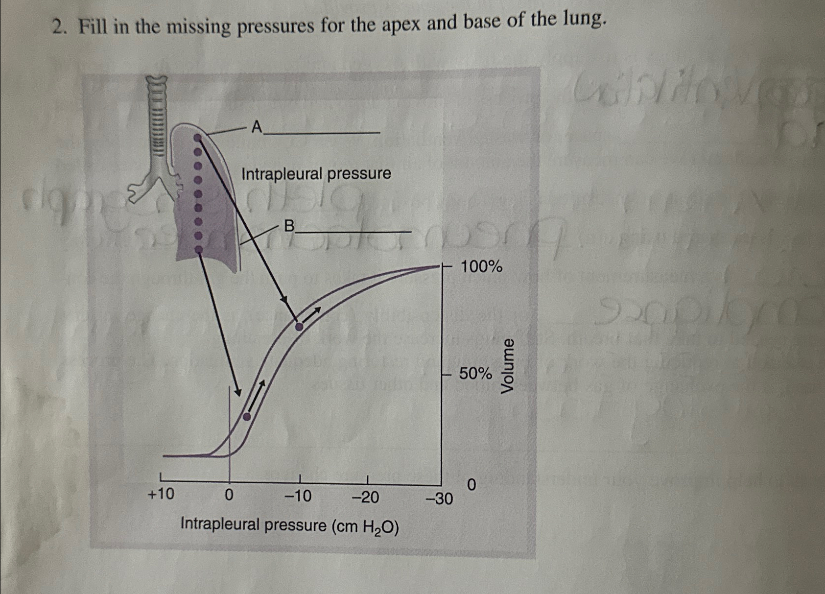 Solved Fill in the missing pressures for the apex and base | Chegg.com