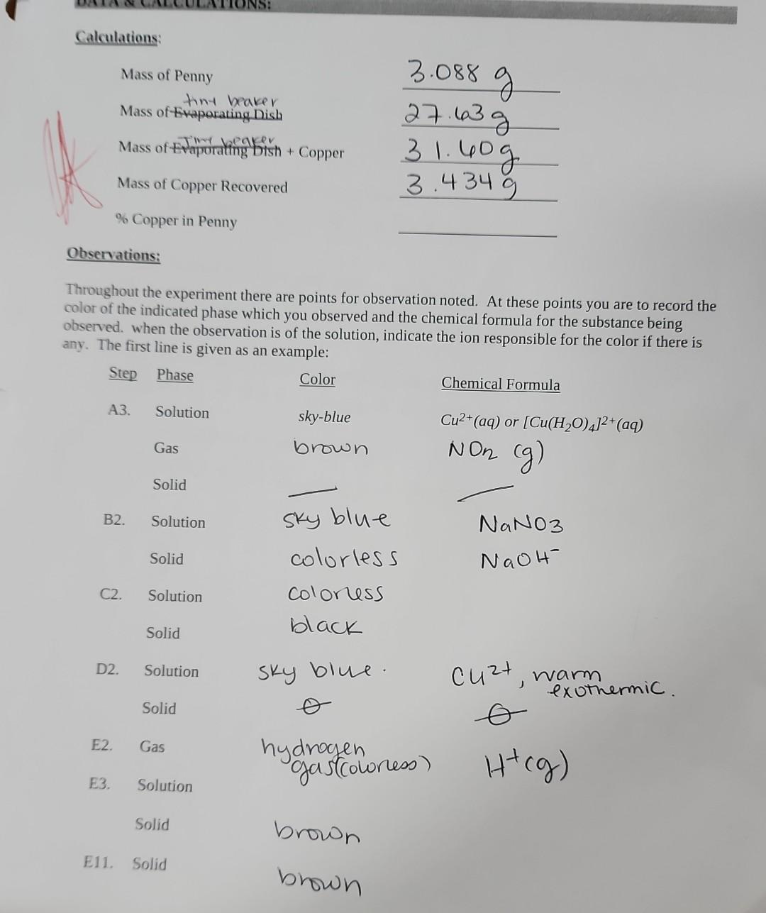 Throughout the experiment there are points for | Chegg.com