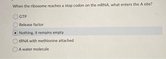 Solved When the ribosome reaches a stop codon on the mRNA, | Chegg.com