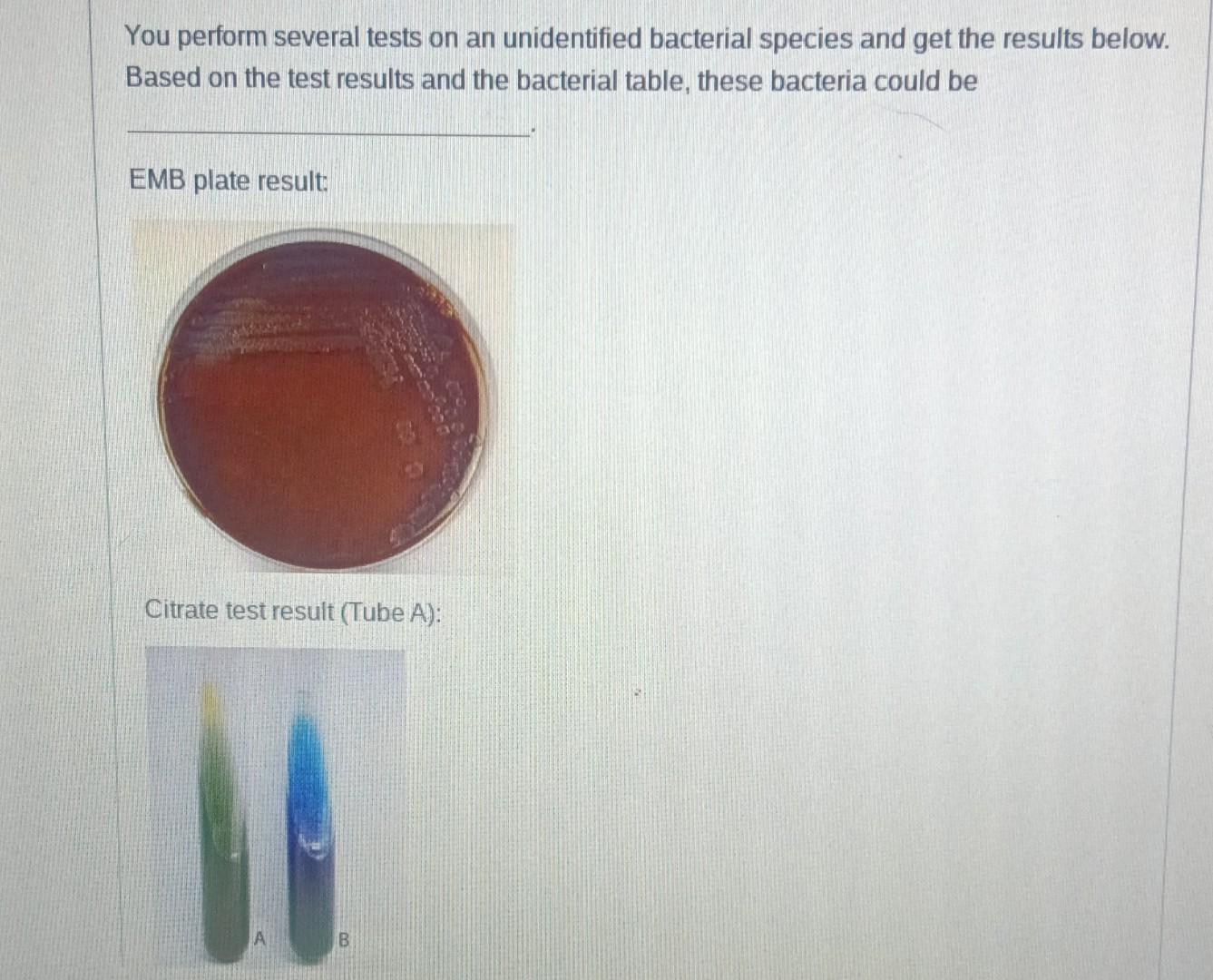 Solved You perform several tests on an unidentified | Chegg.com