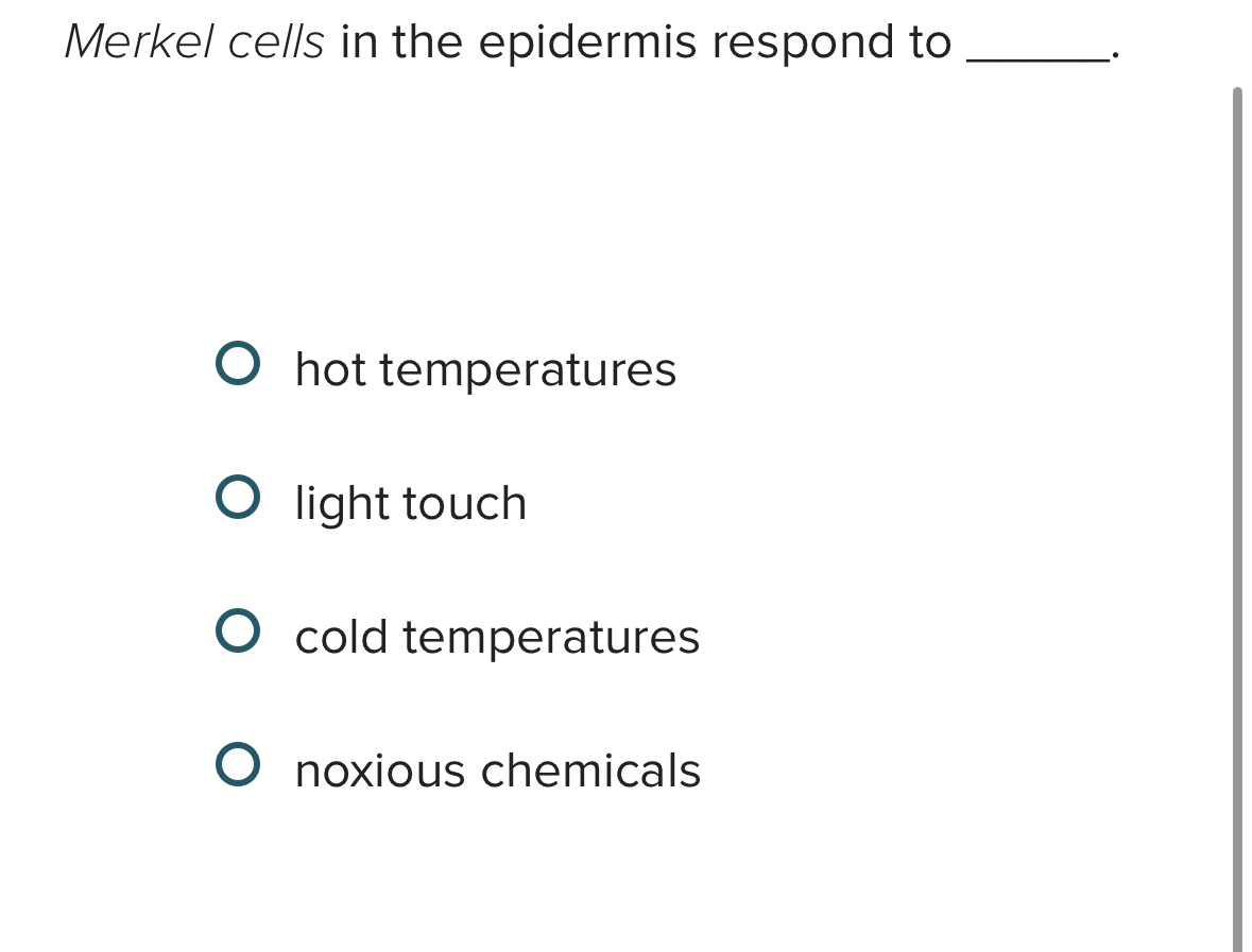 Solved Merkel cells in the epidermis respond tohot | Chegg.com