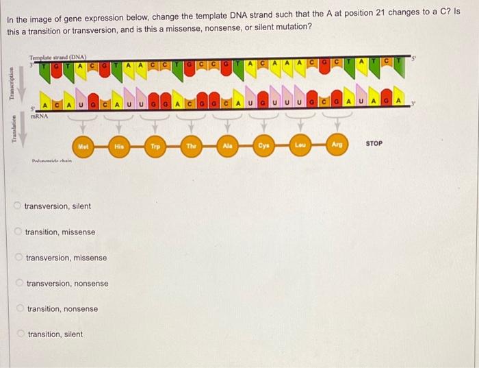 Solved In the image of gene expression below, change the | Chegg.com